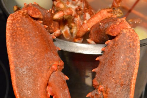 Comment cuire un homard ? | Piece O' Cake